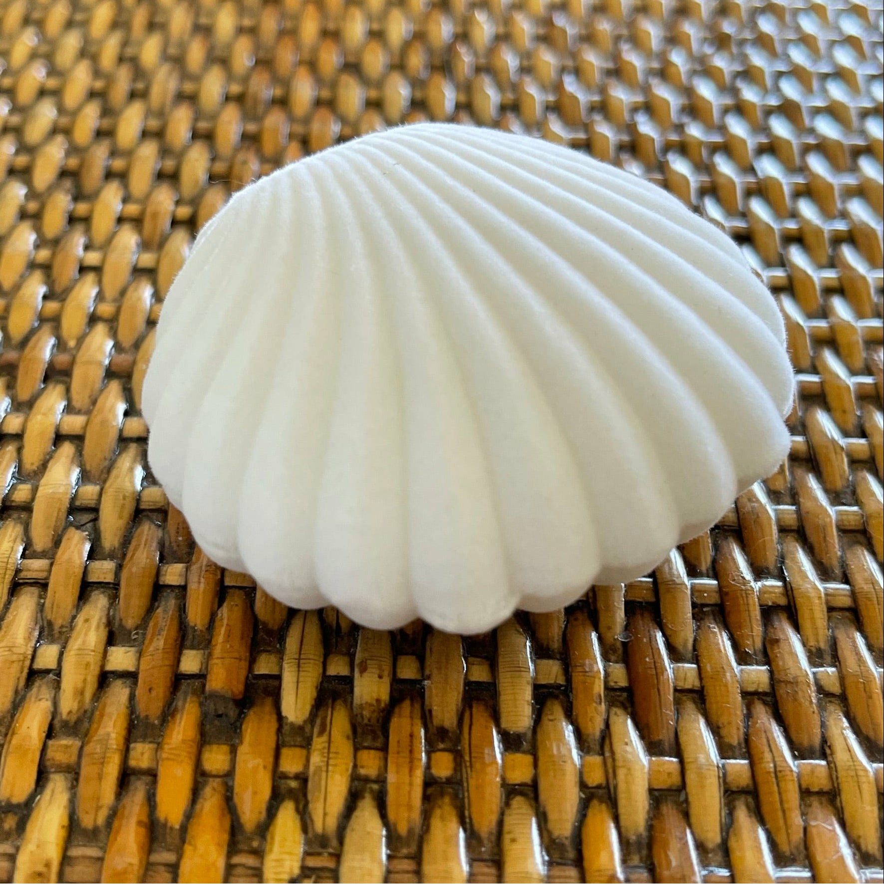 Shell Gift Boxes– Travel and Tide